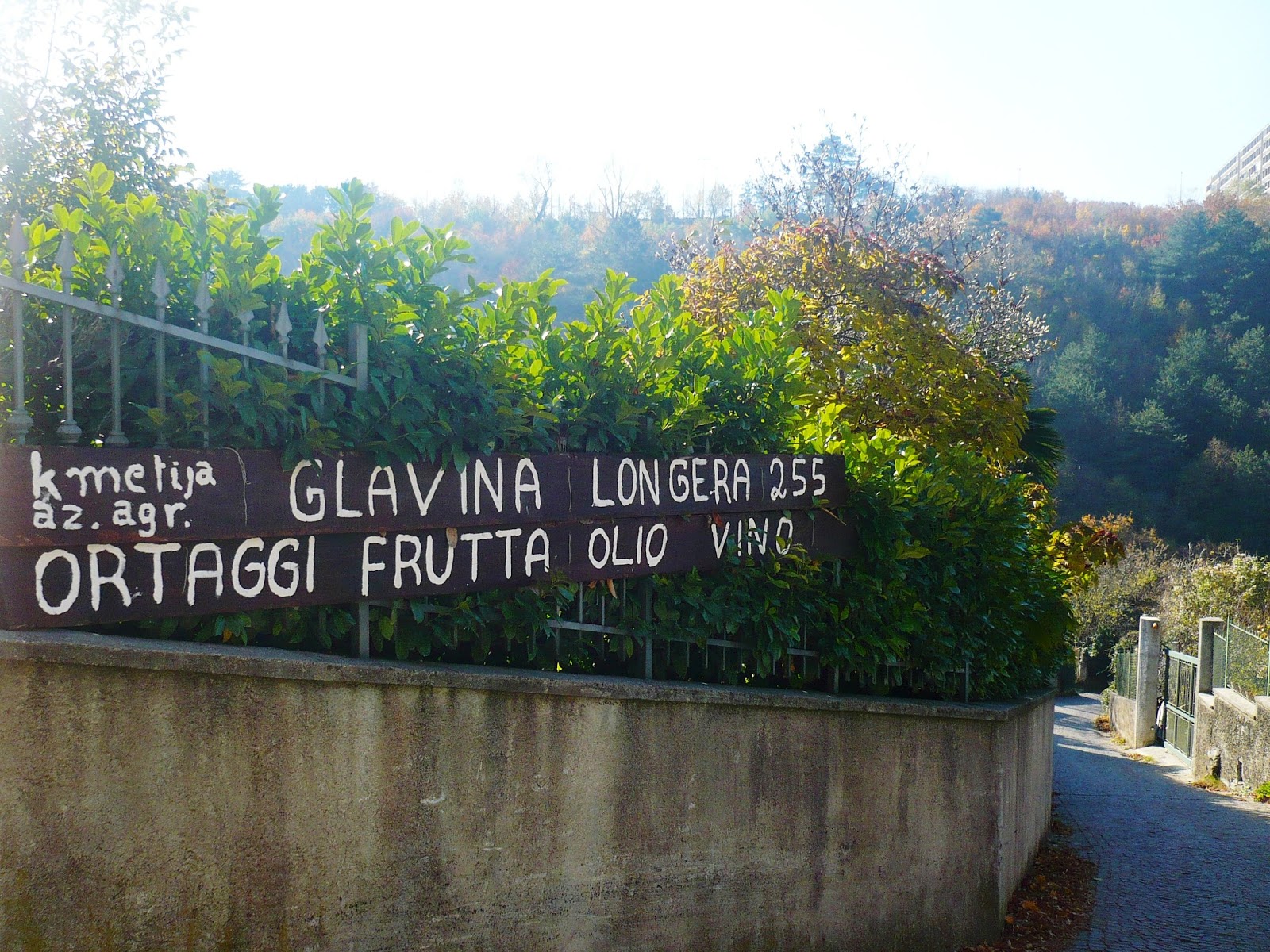 SCHEDE DELLE ESCURSIONI NEI DINTORNI DI TRIESTE: Scheda *** LONGERA ...