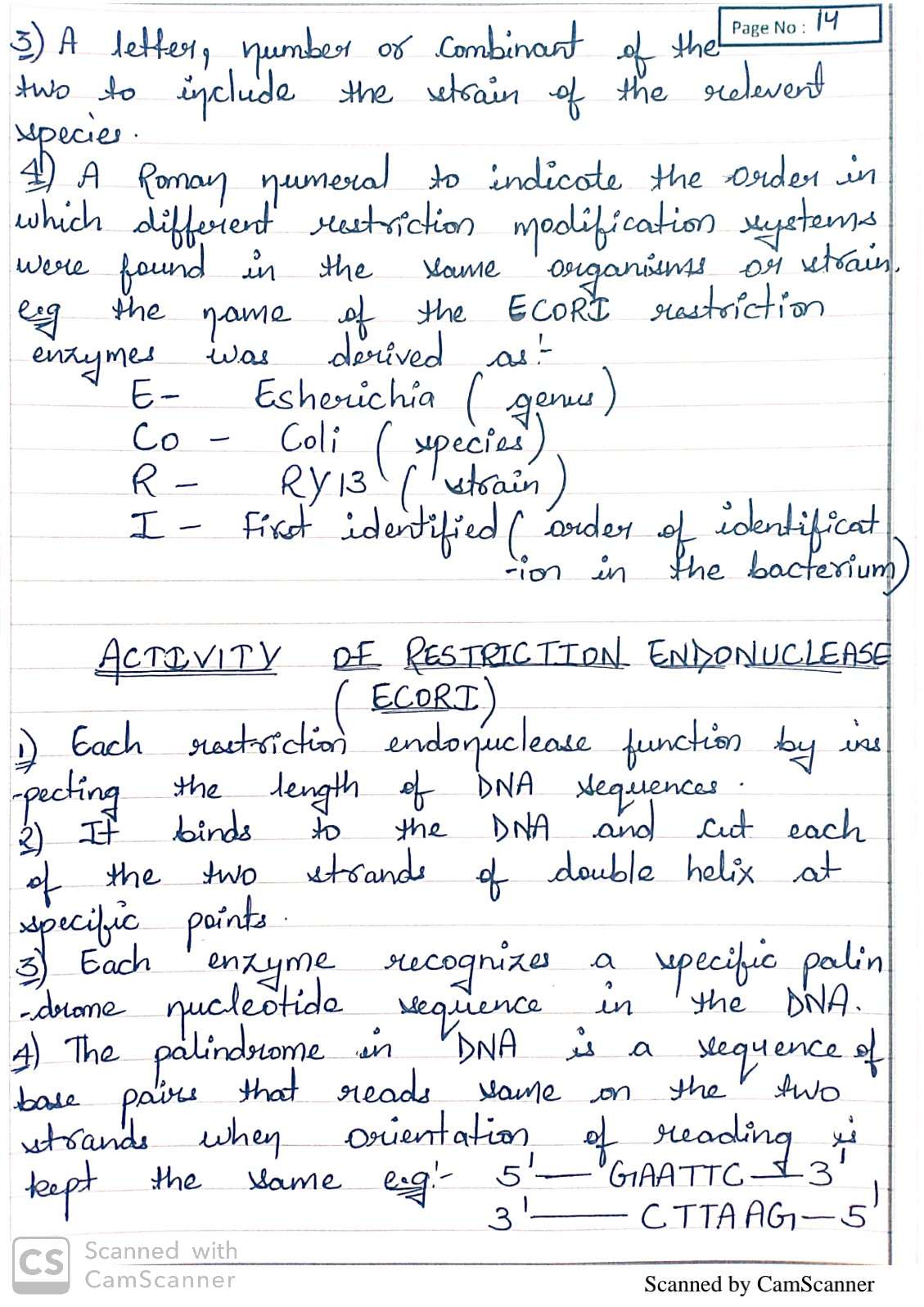 Biotechnology Principles and Process Handwritten Notes for 12th Biology