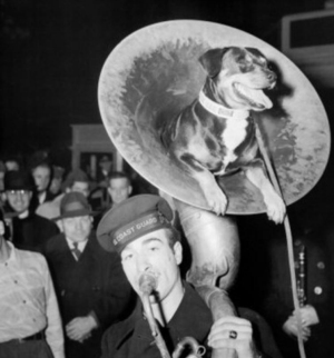 Famous Dogs in History: Sinbad: A Coast Guard Mascot Who Liked to Have Fun