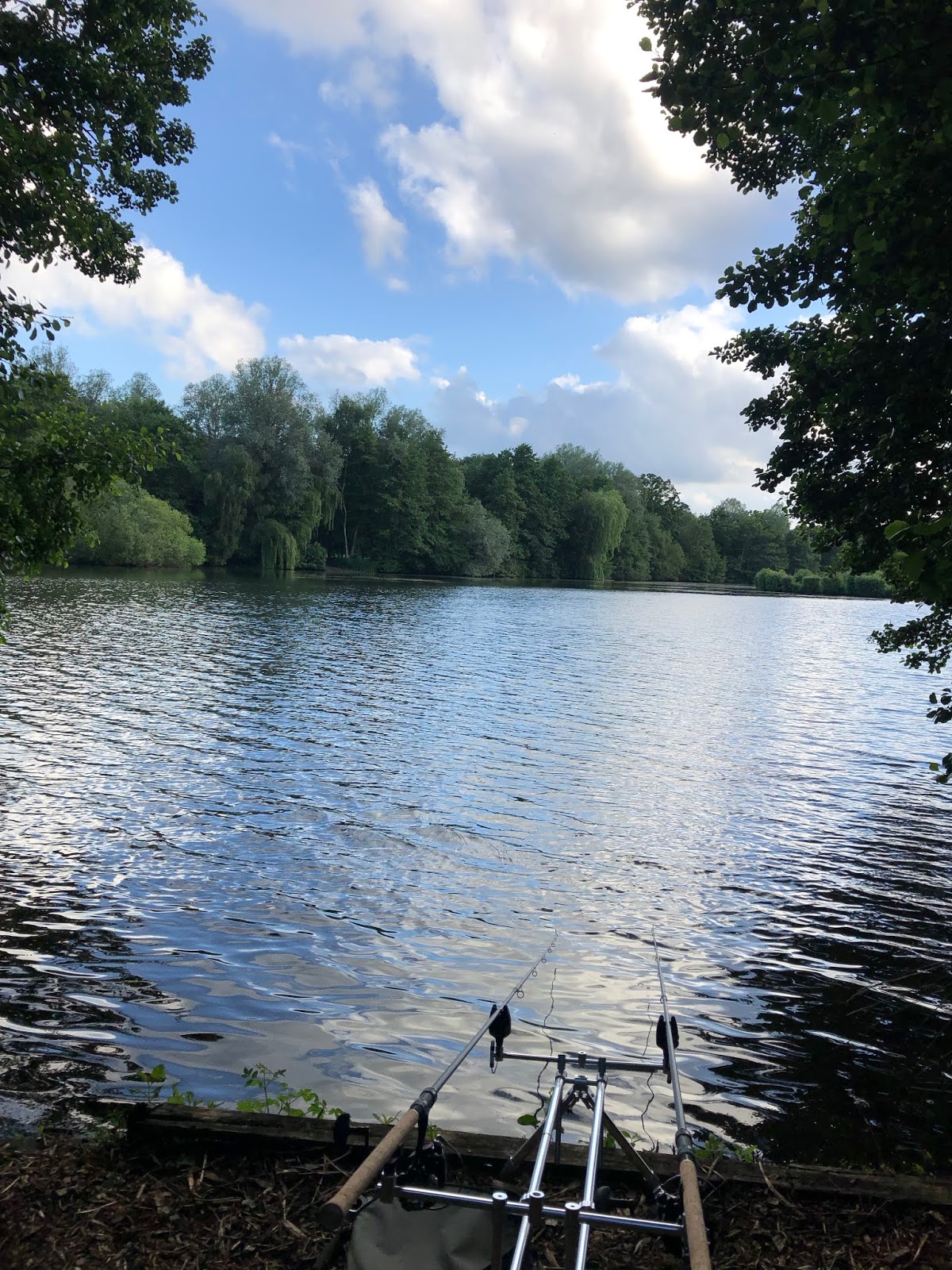 Specimen - Johnsons Lake, 1st July 2019