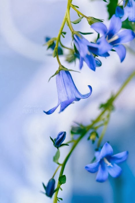 Stunning Views: Pretty blue