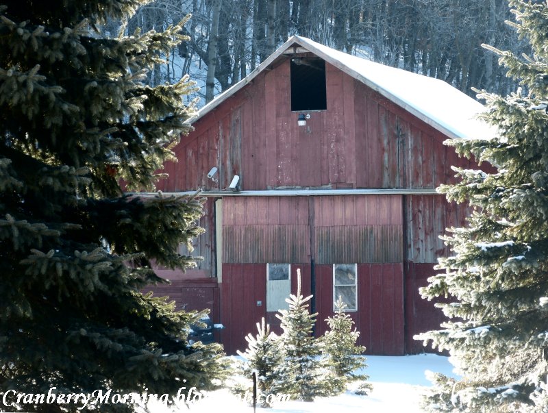 Cranberry Morning: Round Barn Farm B&B, Red Wing, MN