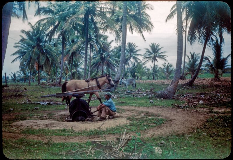 Everyday Life of Puerto Rico in the Mid-1940s Through Amazing Color ...