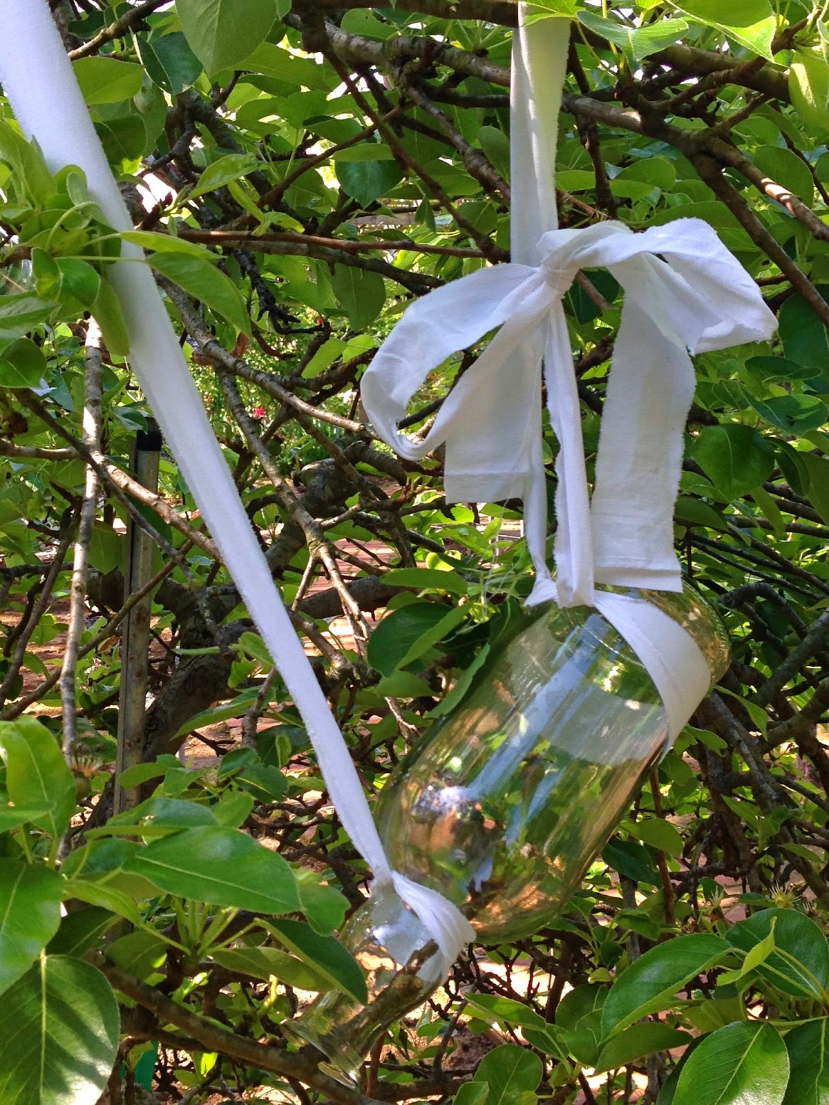 how to make eau de vie de poire - Knitionary