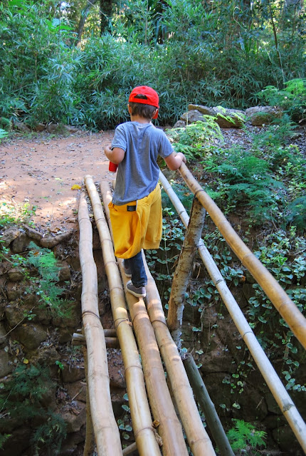 Le Grand Bazaar: Les Jardins Exotiques de Bouknadel... ou la journée ...