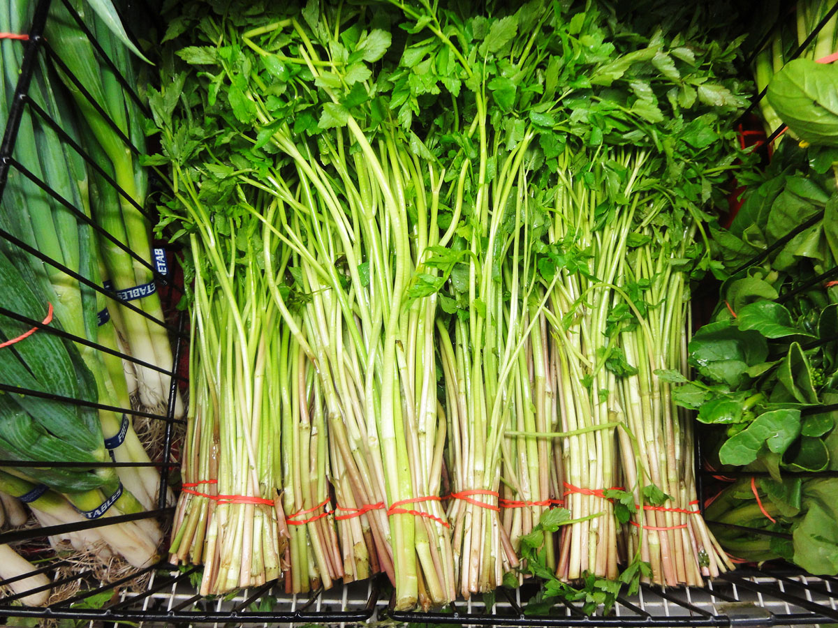 Where the Heck is Marinduque?: The Minari Plant and the Award Winning ...