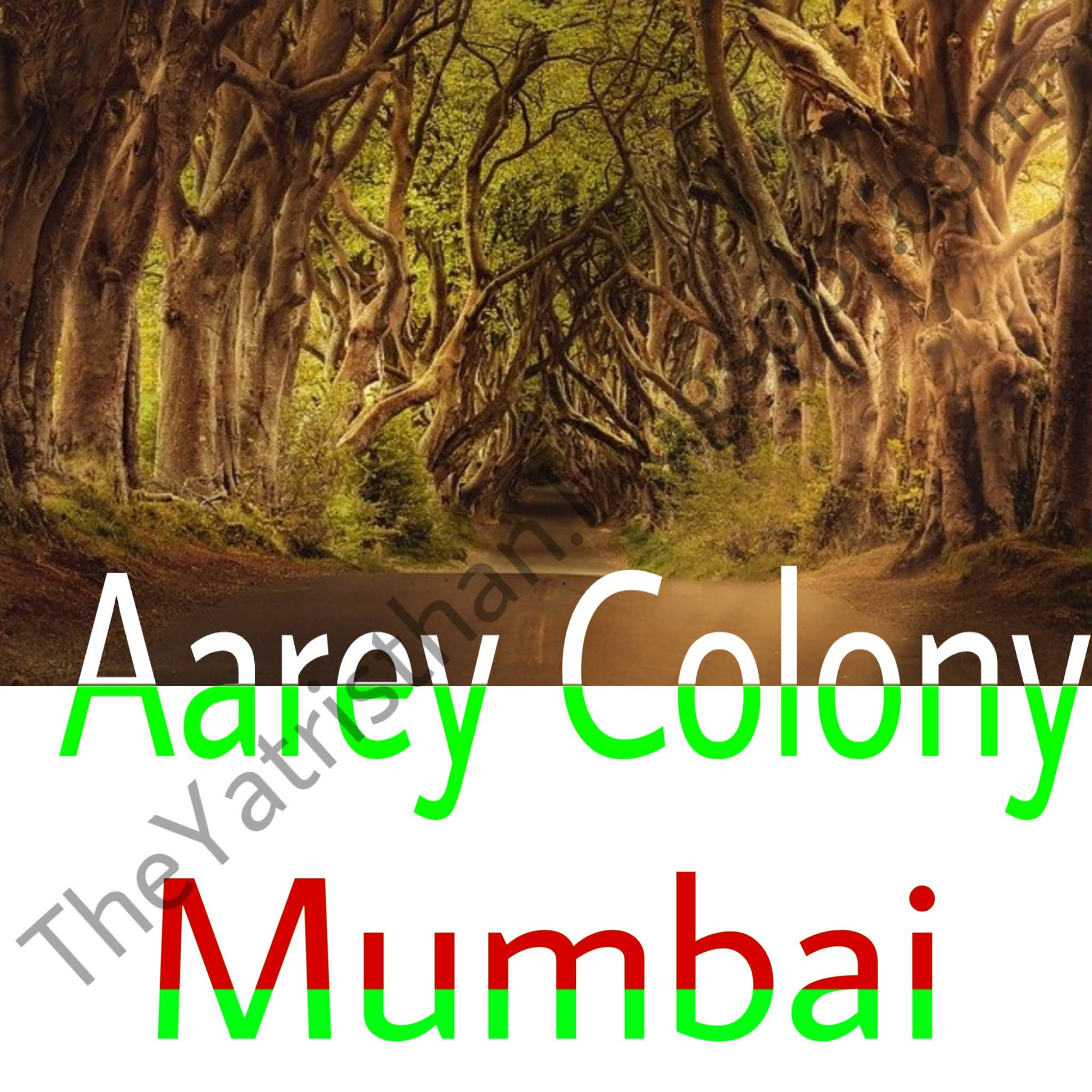 5+ Real Ghost Aarey colony Mumbai horror Stories and nearby attraction
