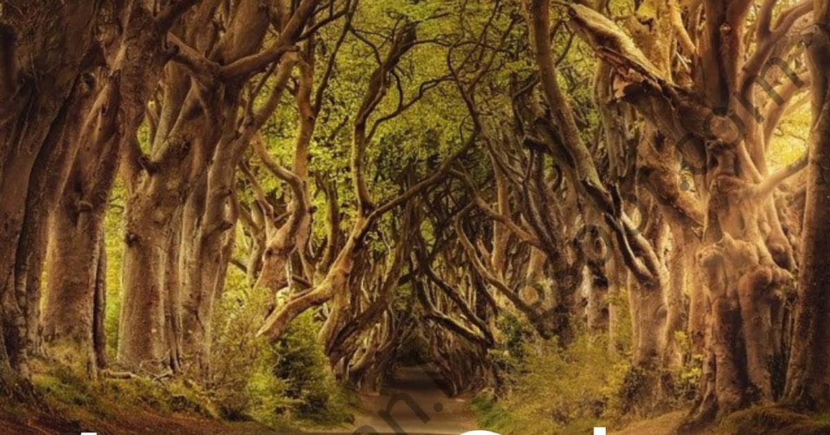 5+ Real Ghost Aarey colony Mumbai horror Stories and nearby attraction