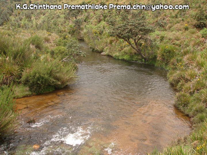 Sri Lanka: Nature of Sri Lanka