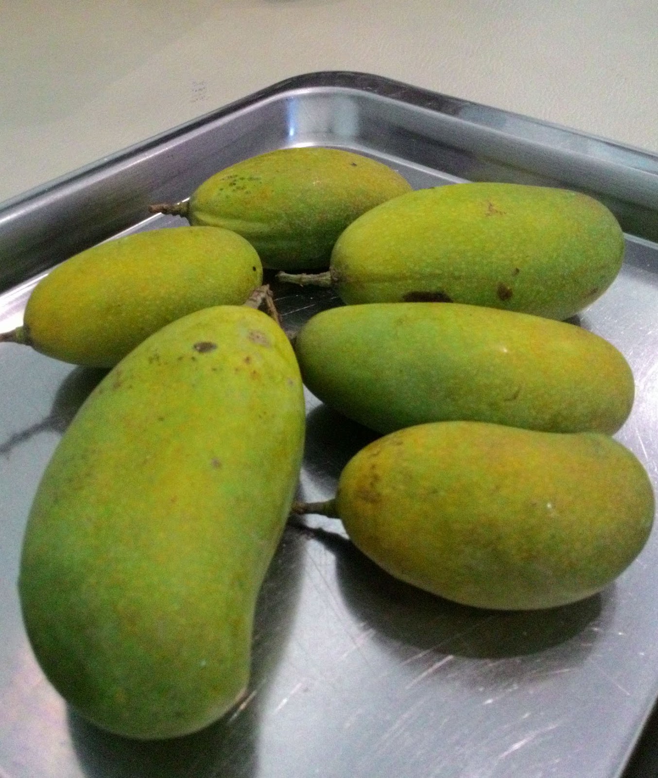 Manji Dharsana: Oktober 2016