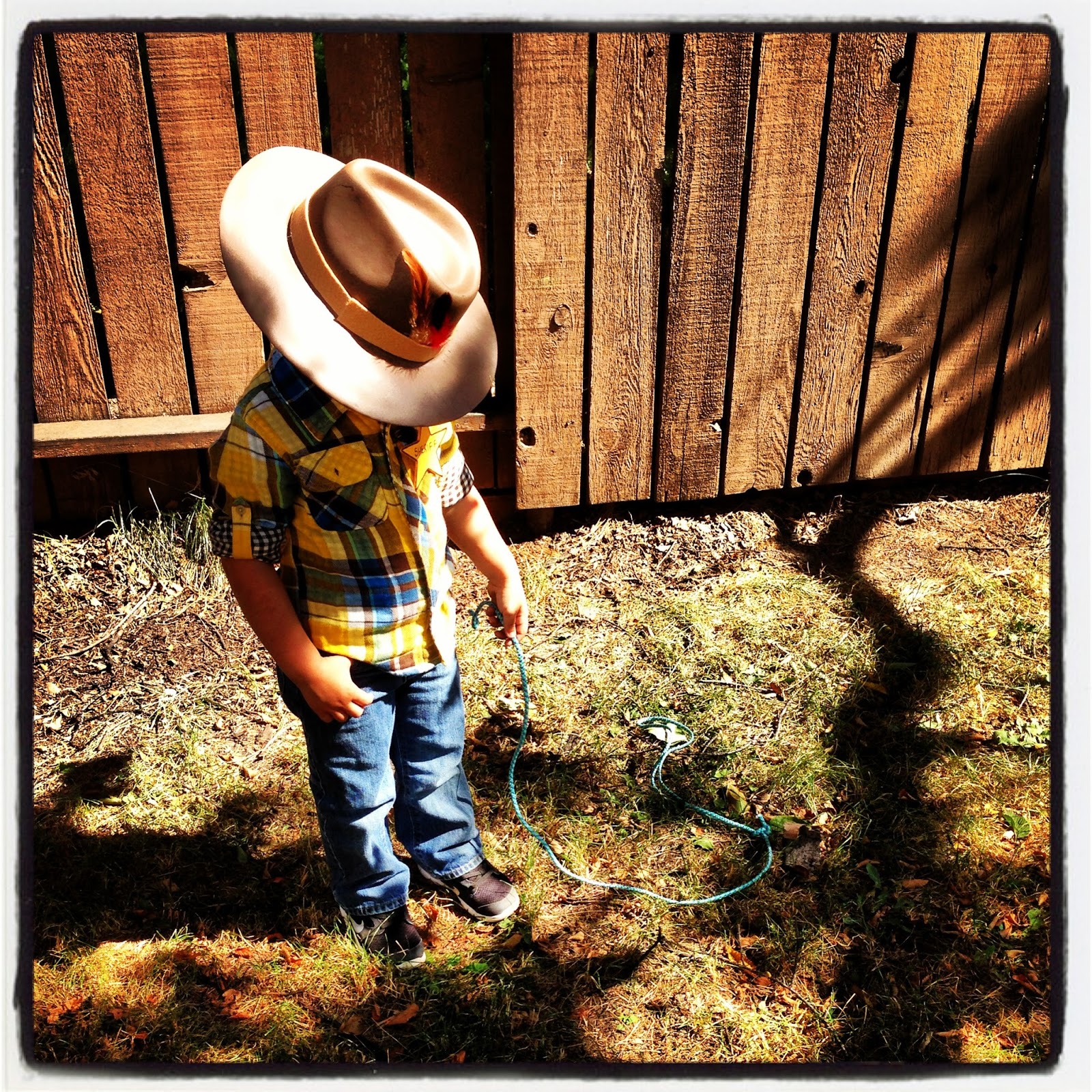 Stories of a Shift Working Mom: Camp Mommy: Cowboy Bug and Galloping on ...