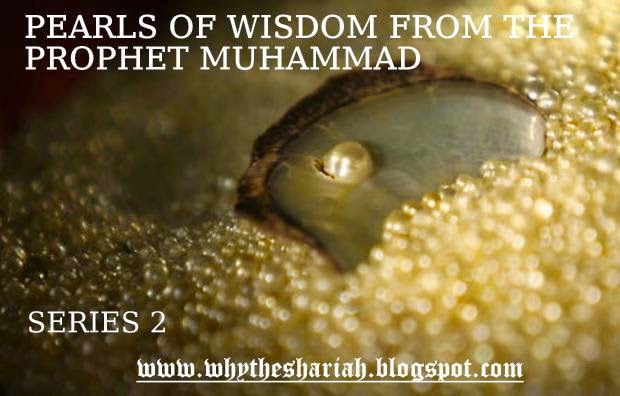 Why The Shariah : PEARLS OF WISDOM FROM THE PROPHET SERIES - PART 2
