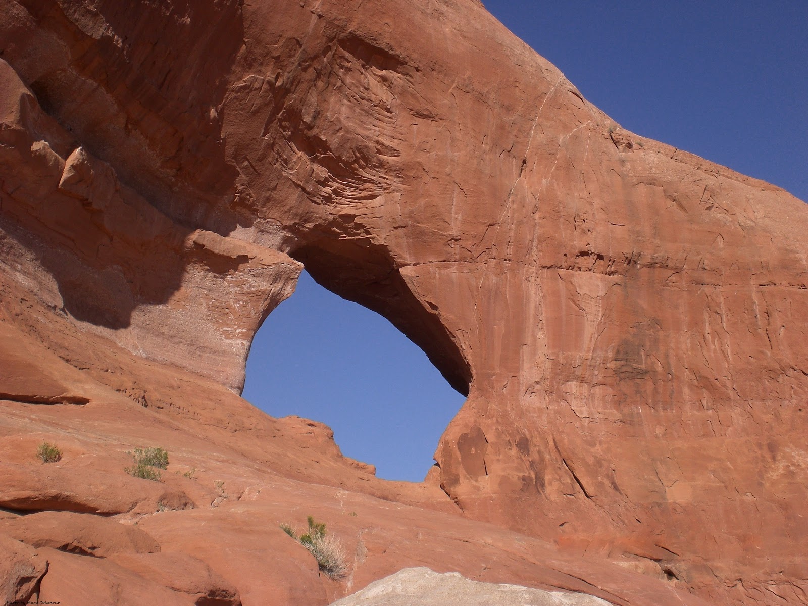 The Southwest Through Wide Brown Eyes: May 2013