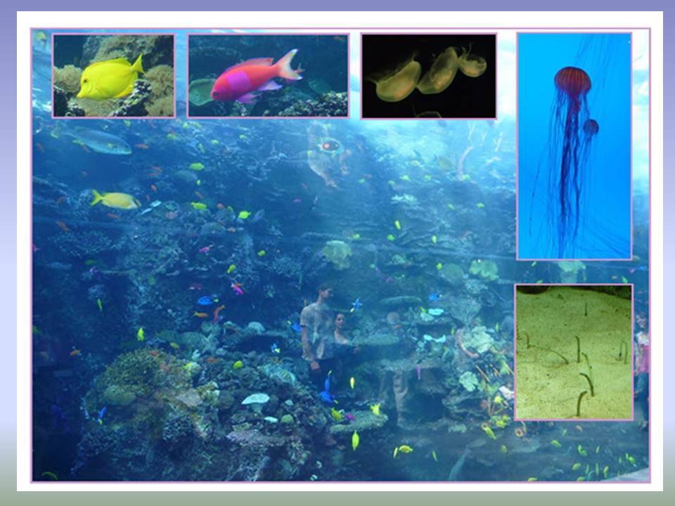 Adventurous Pinay: 2016