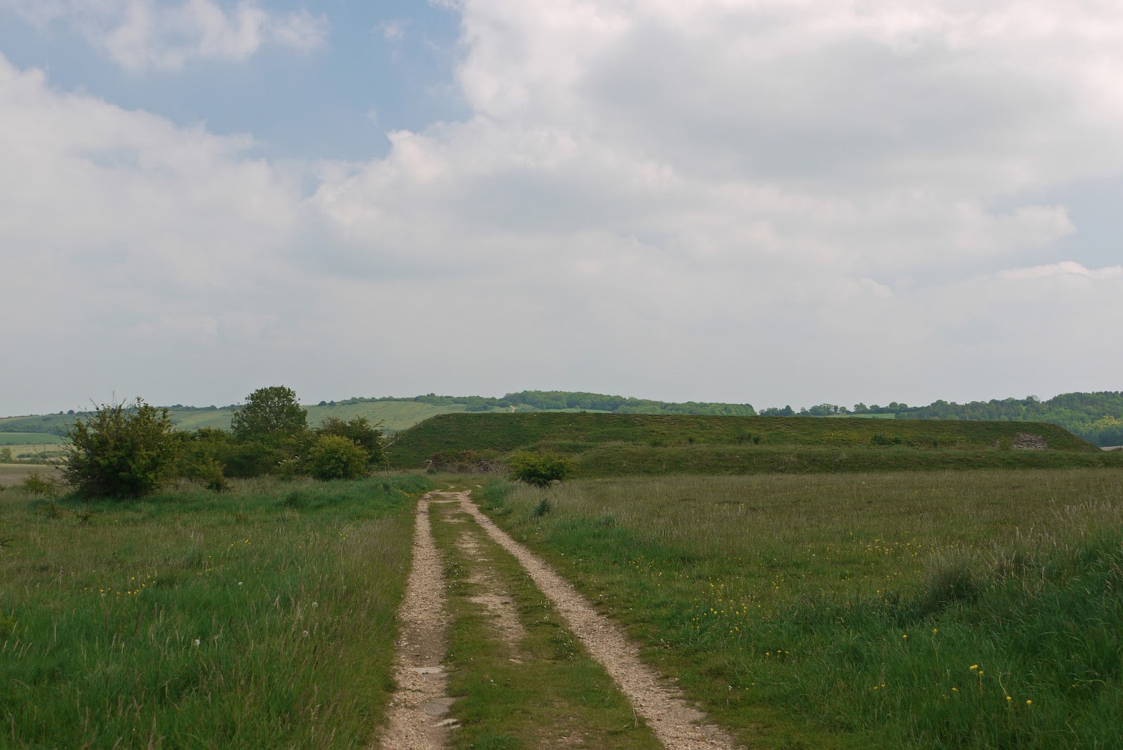 Walking in the country: Martin Down