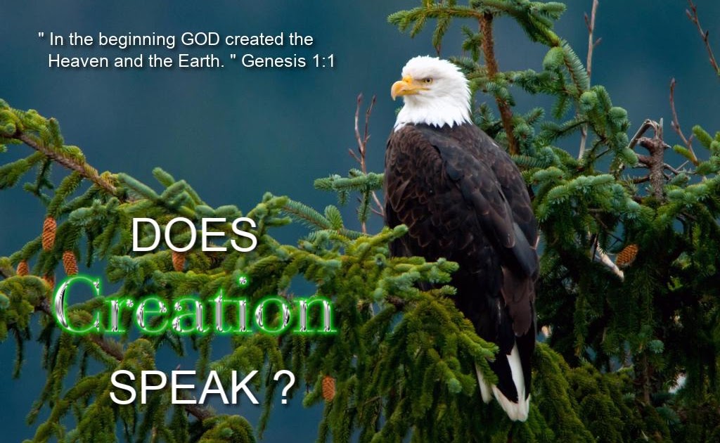 WORD Of TRUTH Lighthouse DOES Creation SPEAK word-of-truth-lighthouse-does-creation-speak