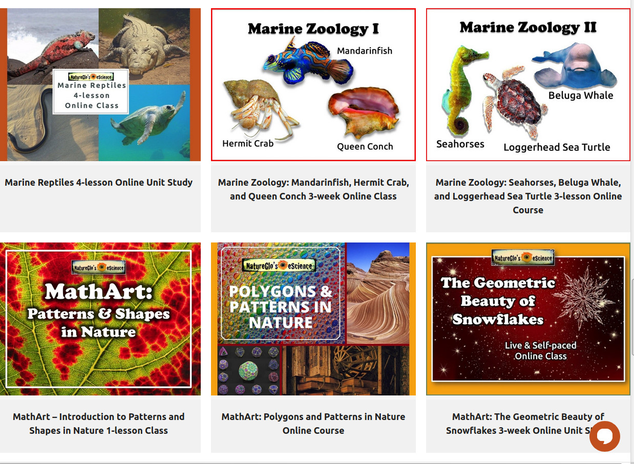 Cummins Life: NatureGlo's eScience MathArt & Science Course Bundle Review