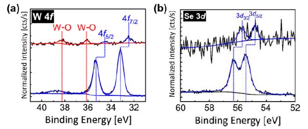 Dr. Rafik Addou: Data