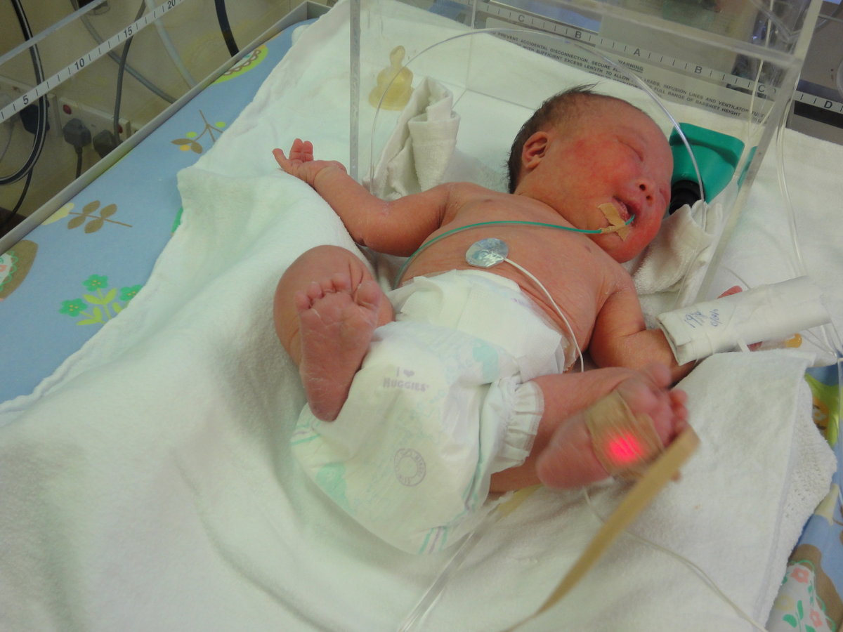 The week without baby K - Simply Lambchops