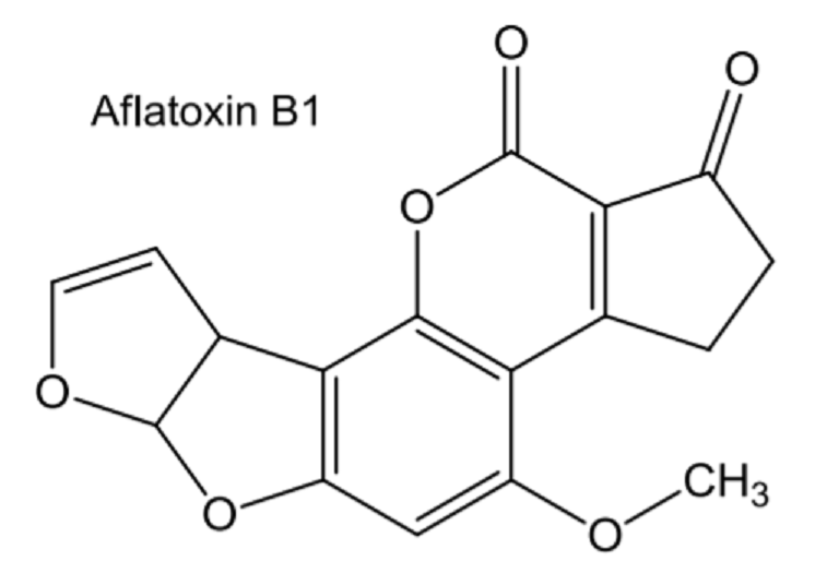 FOOD SAFETY: Aflatoxin B1