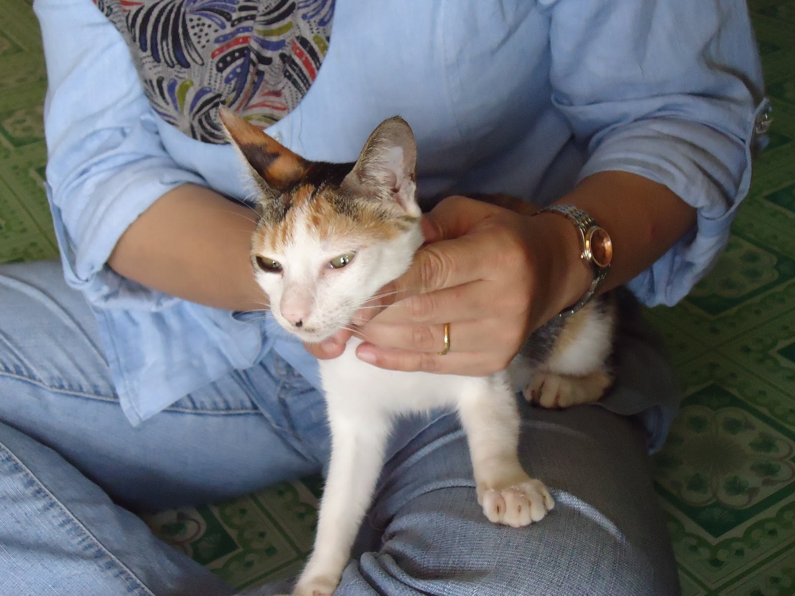 mylovelybulus,: Amal yg sebesar Zarah