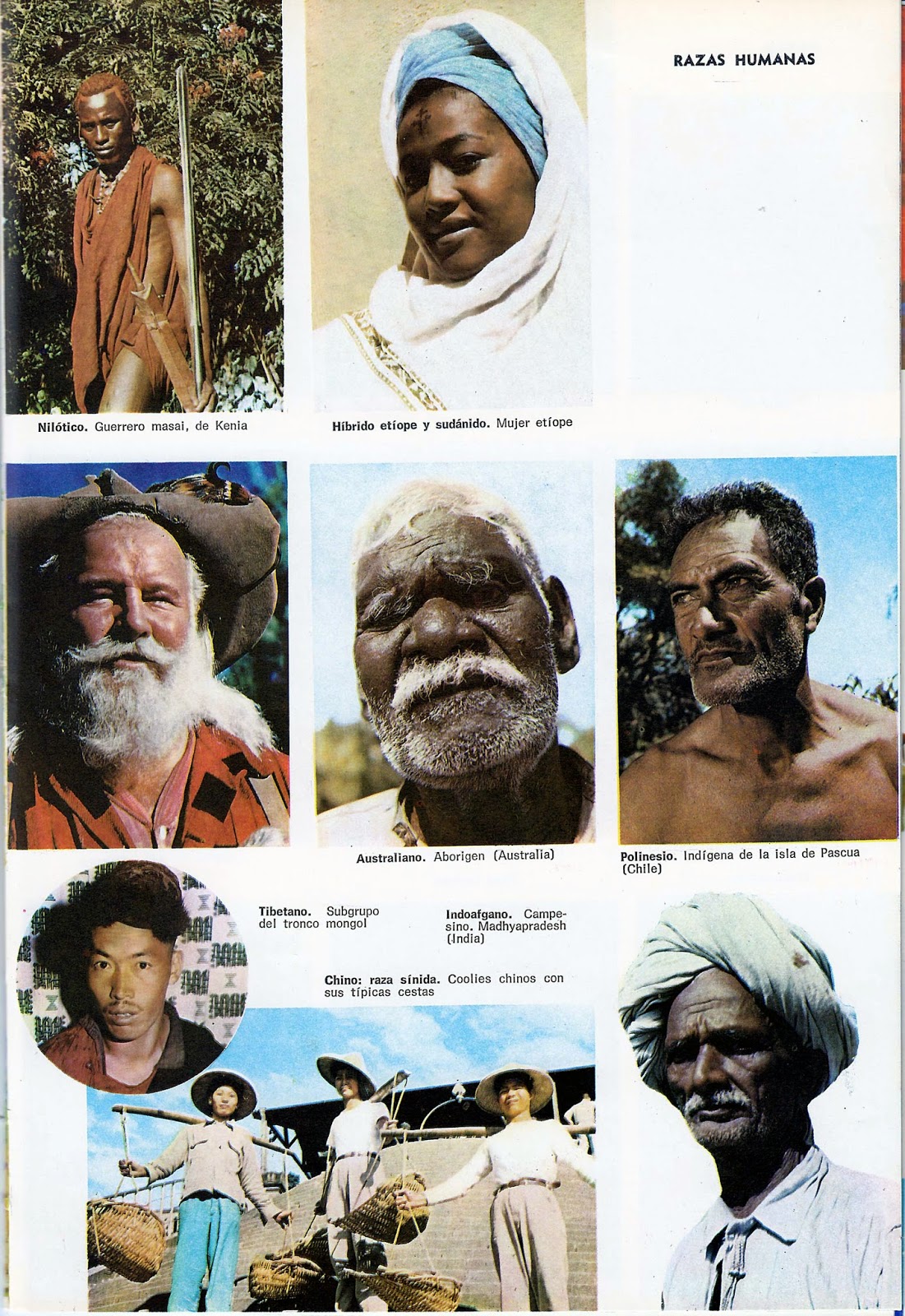 Entusiasco: Un Multicolor Muestrario De Razas