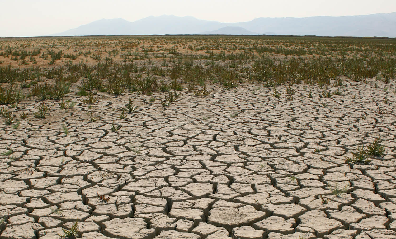 Erozyon Nedir? Nasıl Oluşur? Sonuçları Nelerdir?-BİLGİLİ USTA