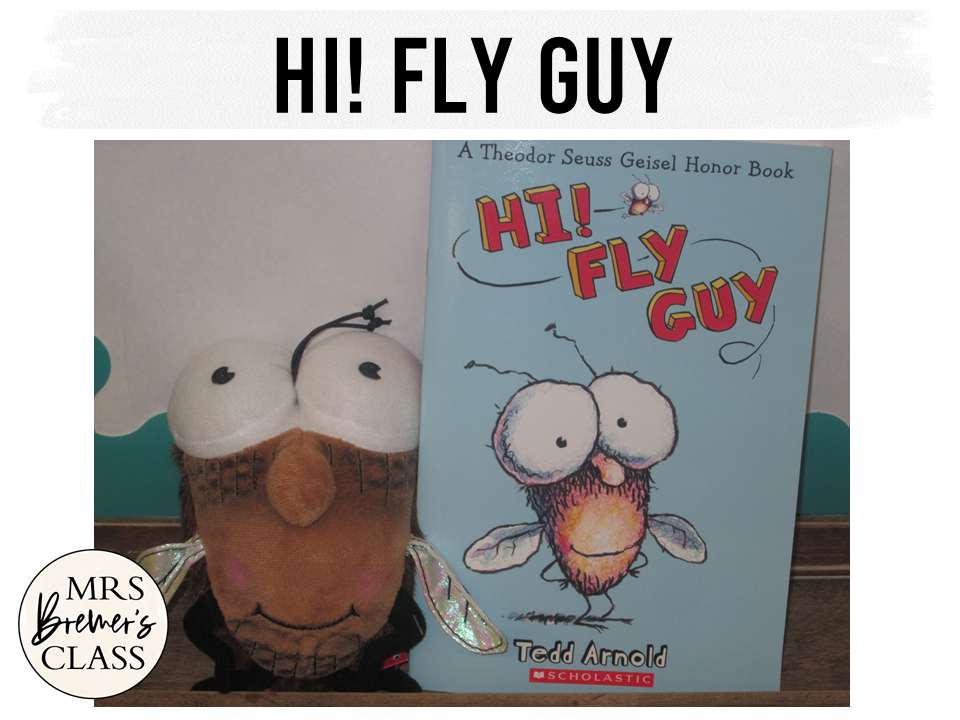 Book Study: Hi! Fly Guy and Paper Bag Book Club | Mrs. Bremer's Class