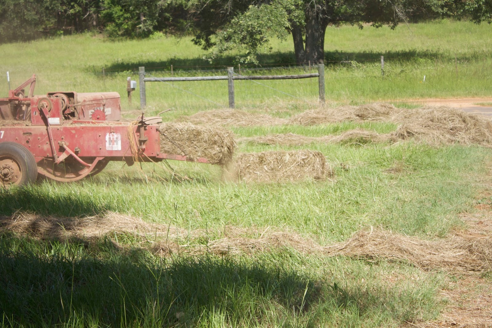 The B Farm : Baling Hay and Flowers