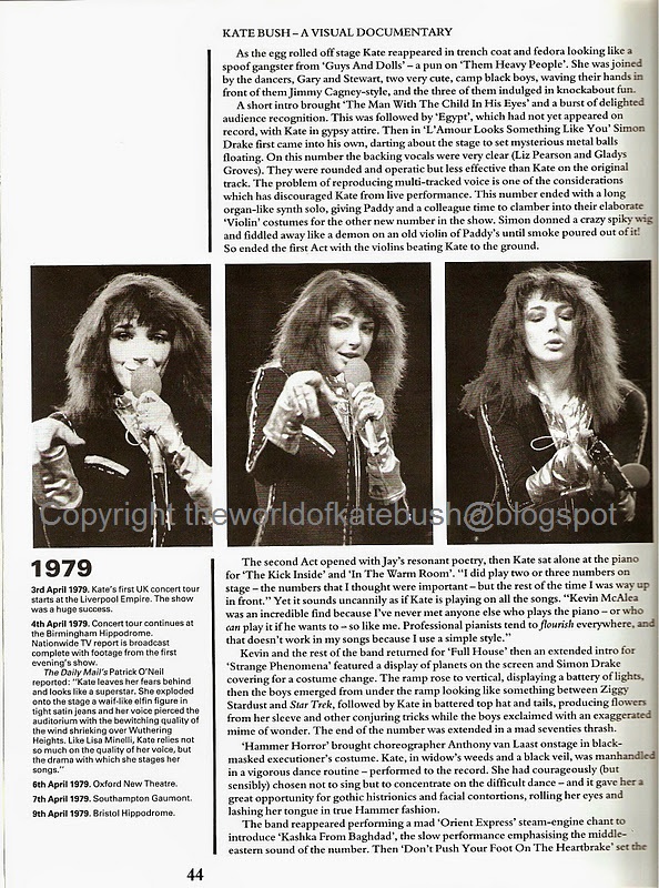 THE WORLD OF KATE BUSH: A Visual Documentary (Book)