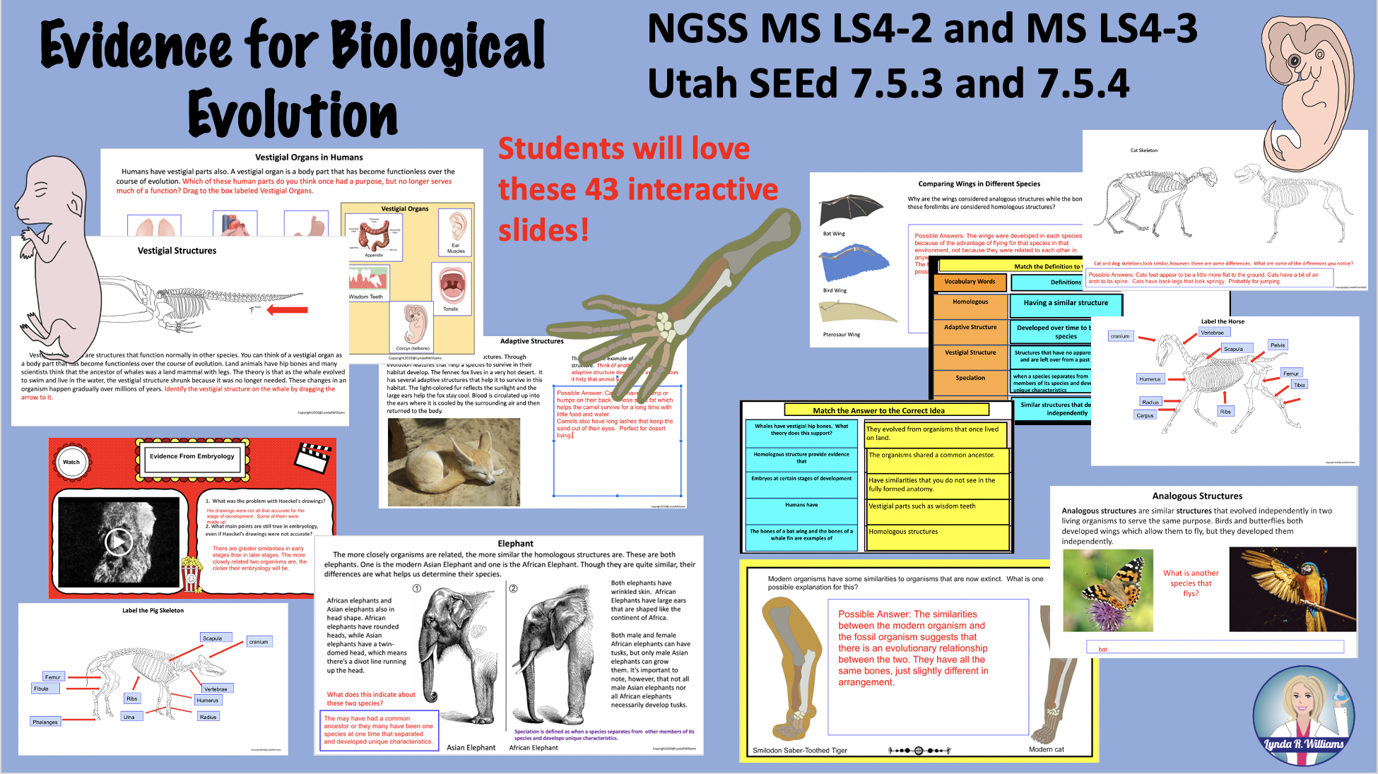 Comparative Anatomy NGSS MS-LS4-2 and MS-LS4-3 - Teaching Science with ...
