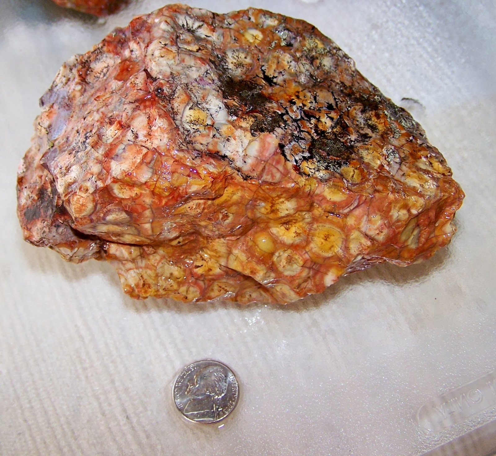 Desert Hues Designs: - Rock Hunting in Quartzsite Arizona! (Part 2 of 2)