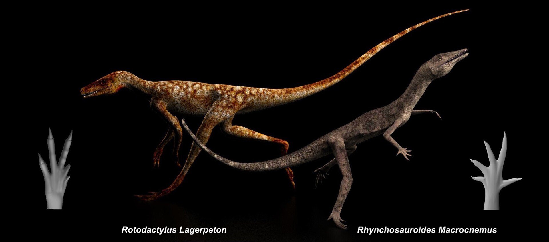 Mi Geoblog: Geologia y más: NUEVO YACIMIENTO DE ICNITAS DE DINOSAURIO ...
