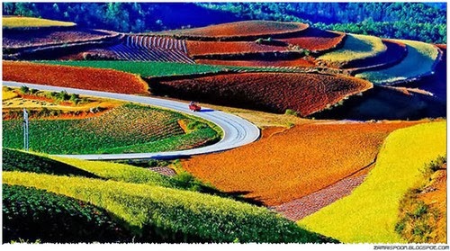 Keindahan Sawah Padi Bukit Yang Berwarna-warni di China. - Gaban Comel