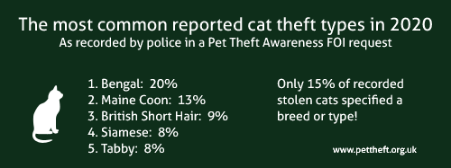 Cat Theft Report 2021