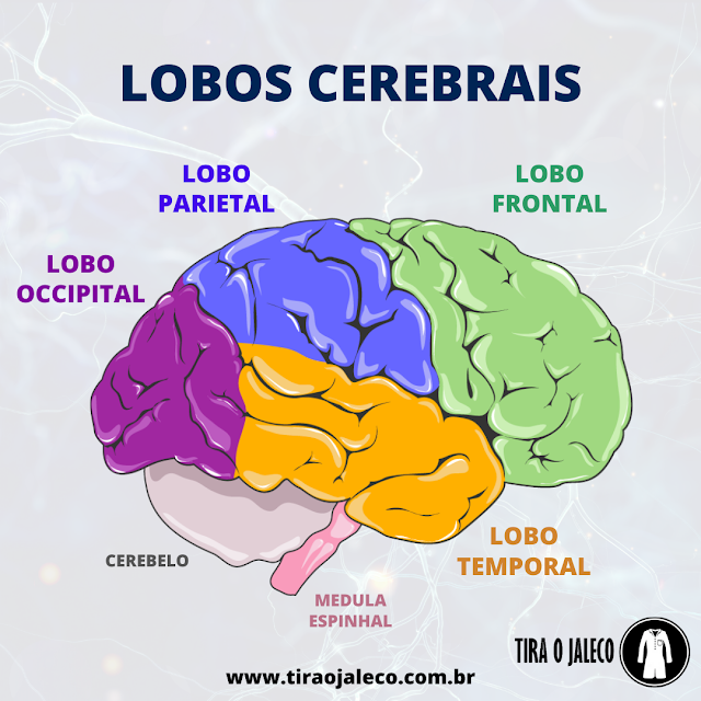 Lobos Cerebrais - Tira o Jaleco