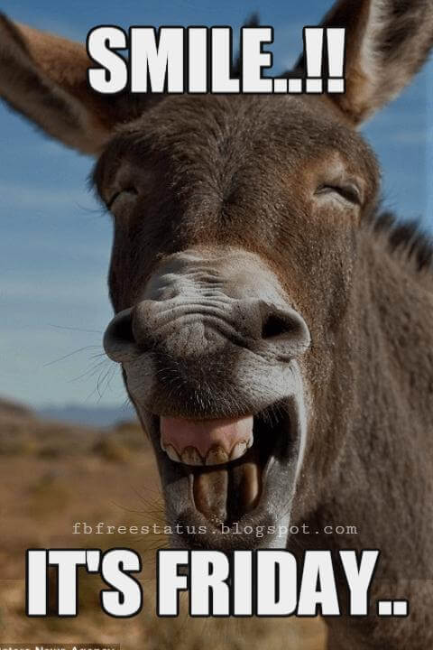 Happy Friday Quotes To Be Happy on Friday Morning