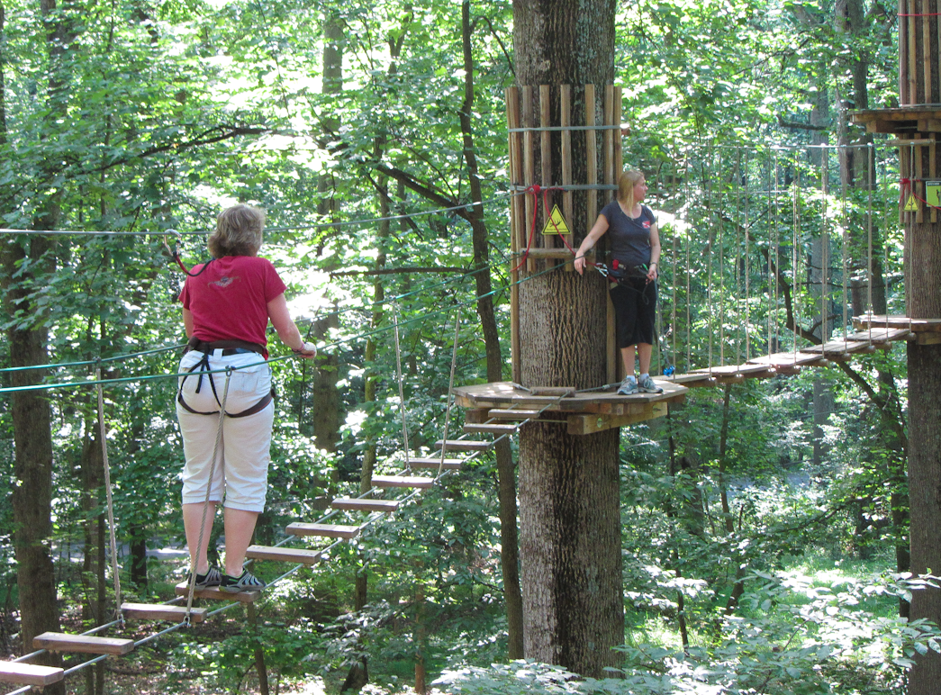 Ziplining and Treetop Exploration ~ Learn, Live, and Explore!