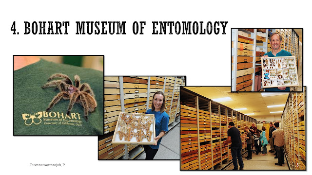 Insect Museums | Insectariums | Entomology