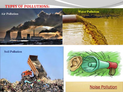 Environmental Pollution: Pollution | Introduction of pollution ...