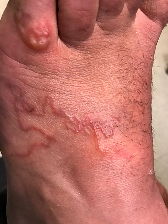 EL RINCÓN DE LA MEDICINA INTERNA. juanpedromacaluso@yahoo.com.ar: MUJER ...