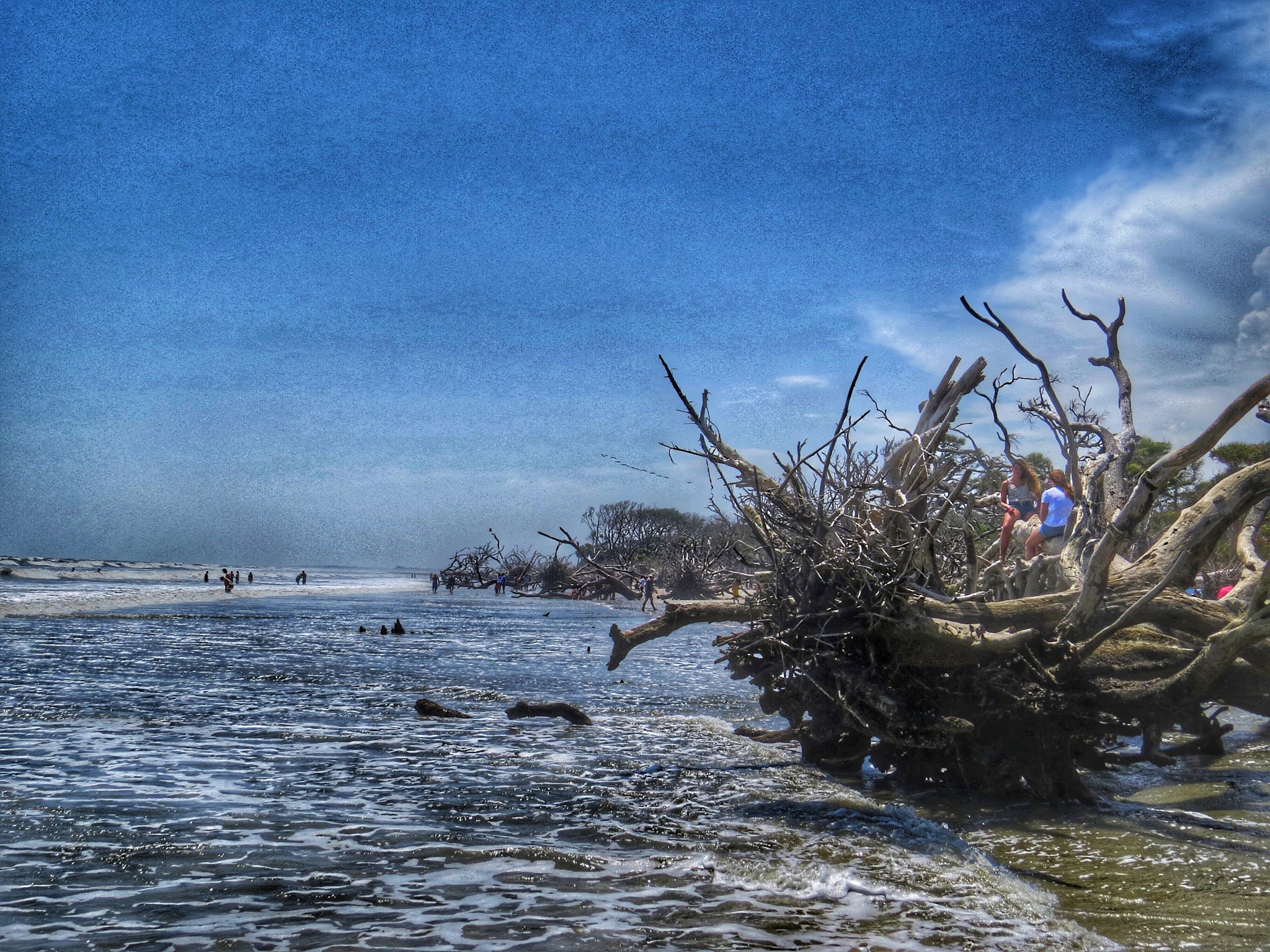 BirdsEyeViews: Botany Bay’s Boneyard Beach