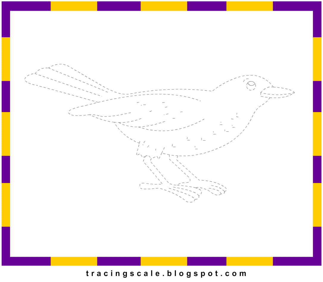 Free Tracing worksheet Printable: Blackbird Tracing