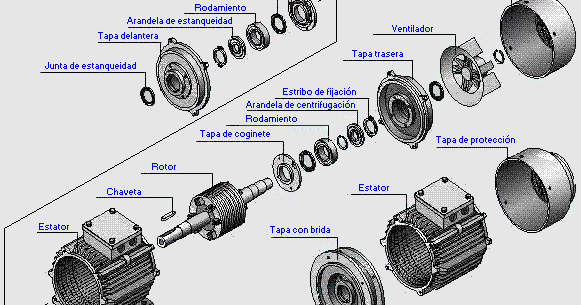 MOTOR ASÍNCRONO TRIFASICO - Automatizacion