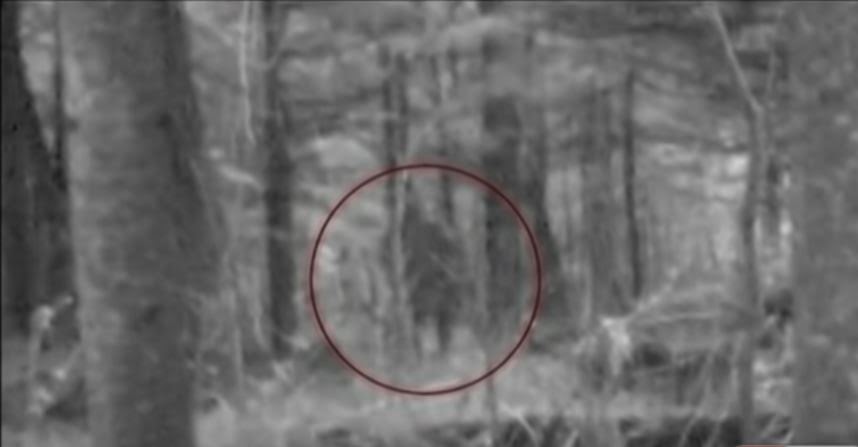 RMSO Bigfoot: Michigan Sasquatch on National News