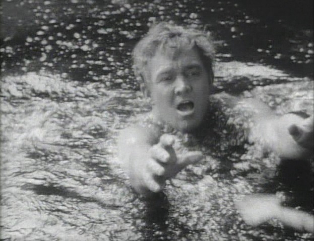 3B Theater: Micro-Brewed Reviews: The Dual Roles Blogathon :: Beach ...