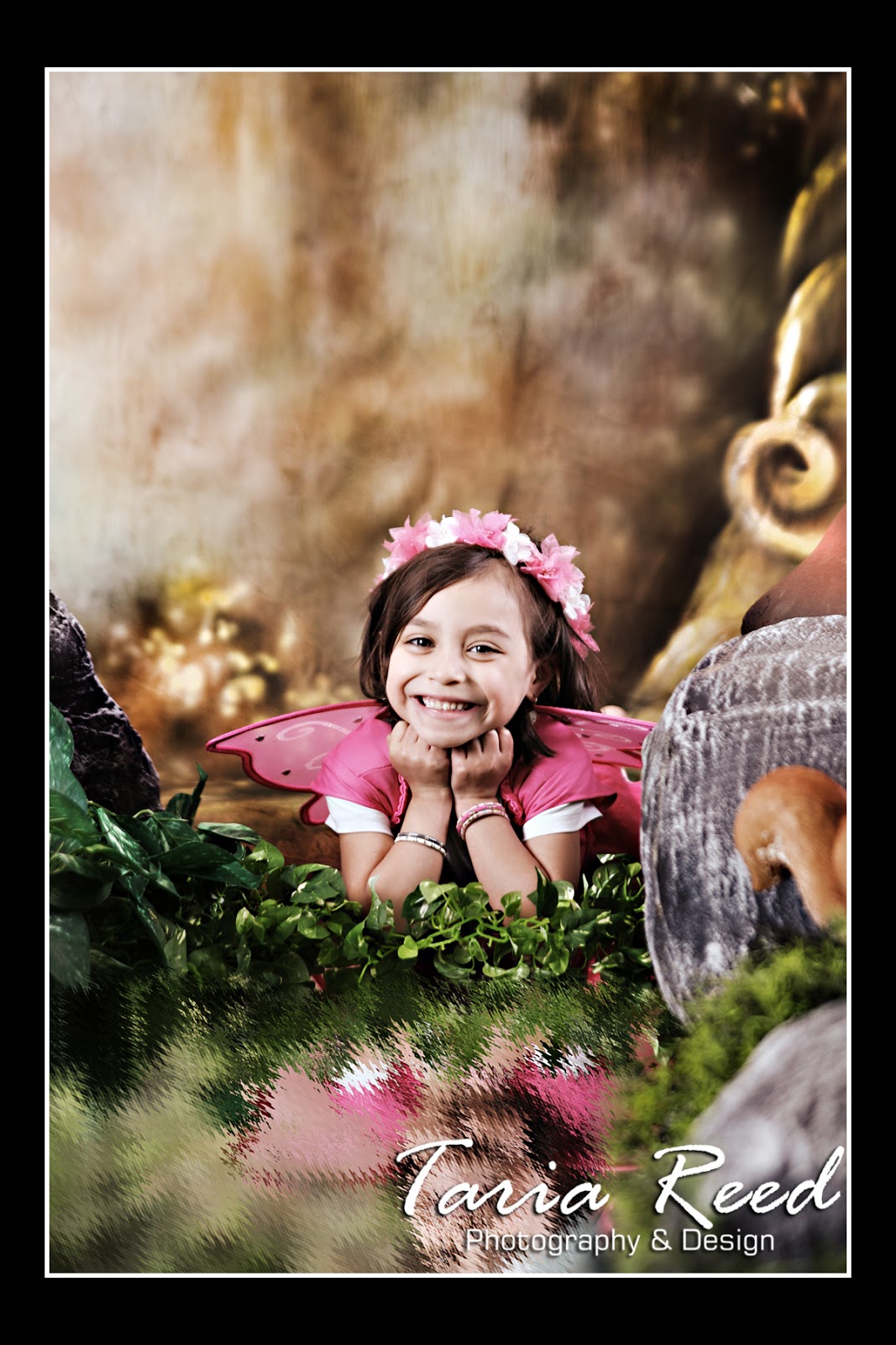 Taria Reed Photography