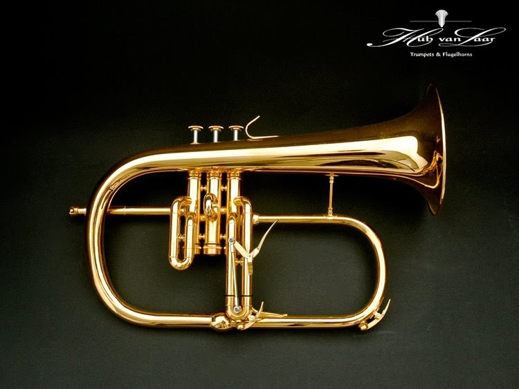 Cobre y Pistones: EL FLISCORNO