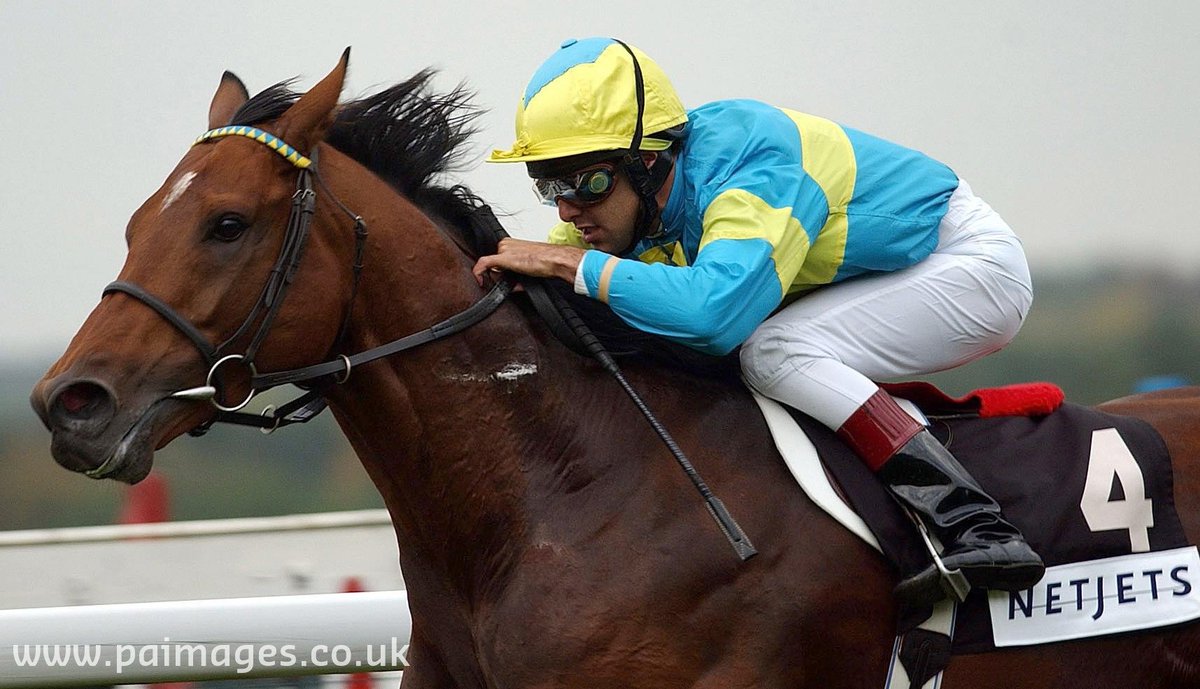 Falbrav è il cavallo italiano più forte degli ultimi 20 anni. Ecco il ...