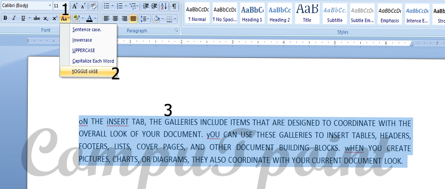 CompuTPoint: Change case tool in Ms Word
